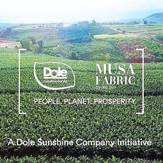 Turning Banana Waste Into Fibres Of Purpose For Sustainable Textiles ...