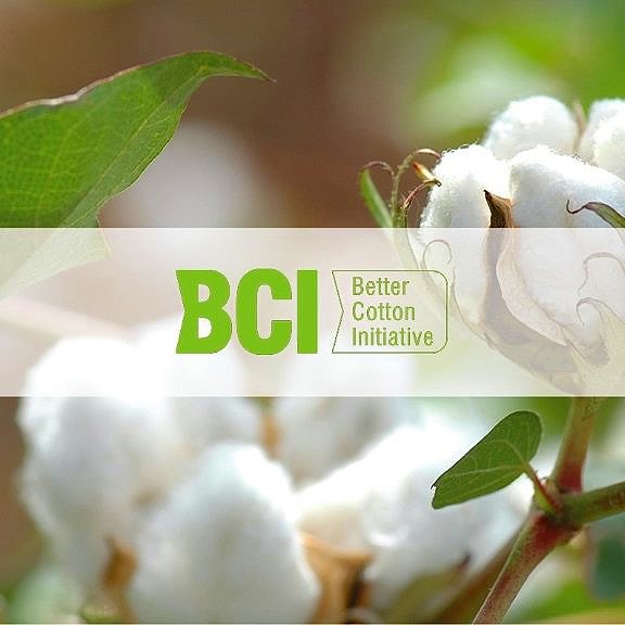 The Better Cotton Initiative Invites Contributions To Its Study Of The ...