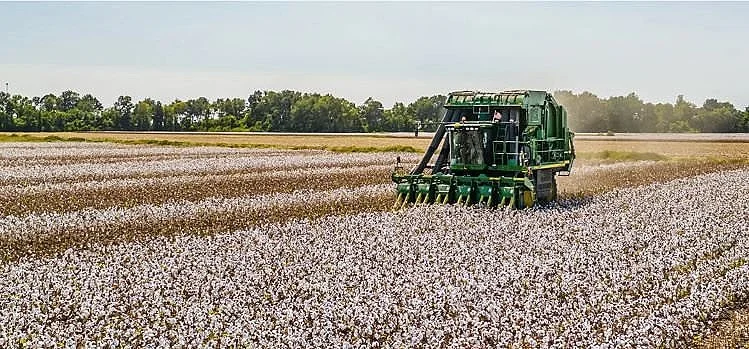 The Better Cotton Initiative Invites Contributions To Its Study Of The ...