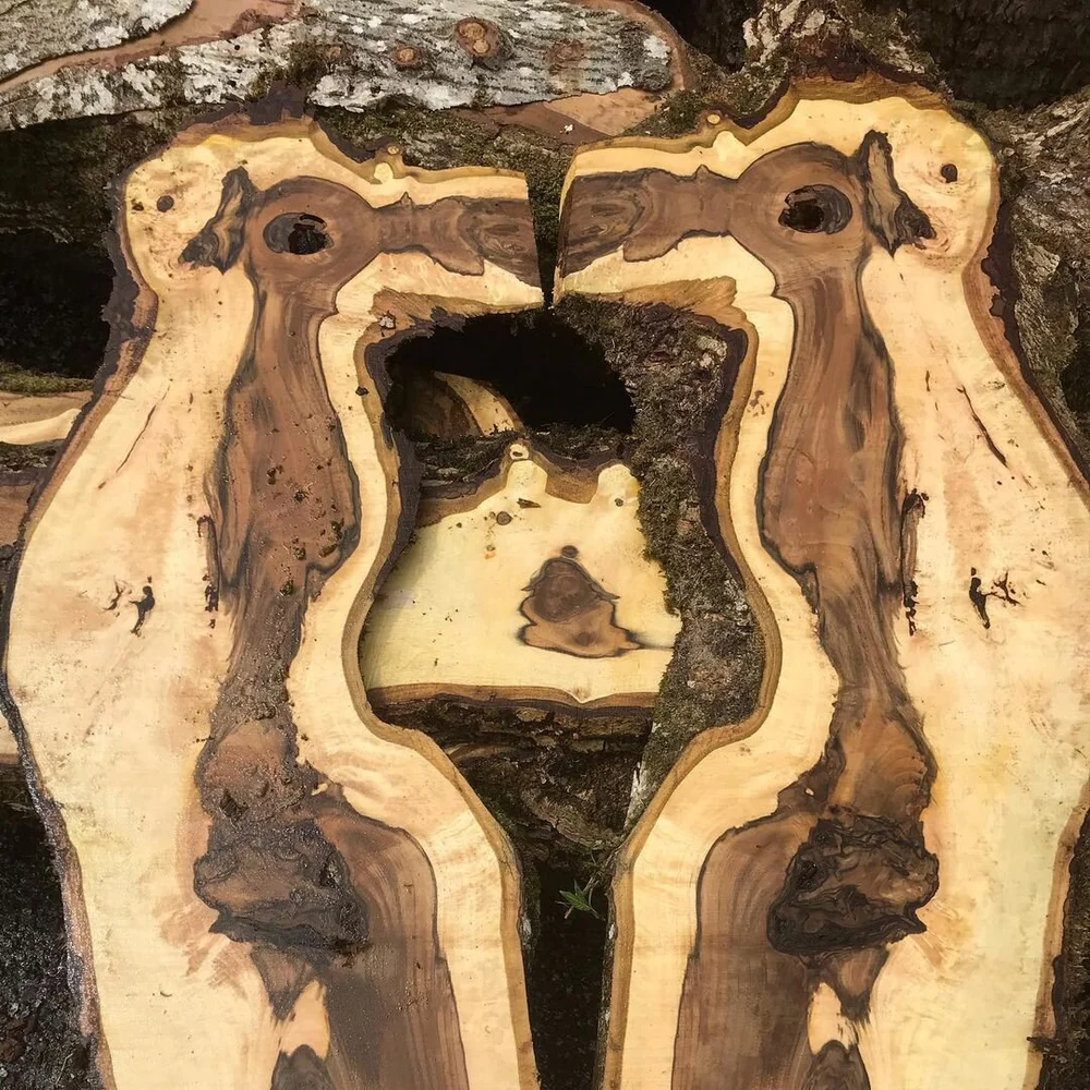 DV Wood Products - Stunning Slabs on the West Coast — iDRY WOOD