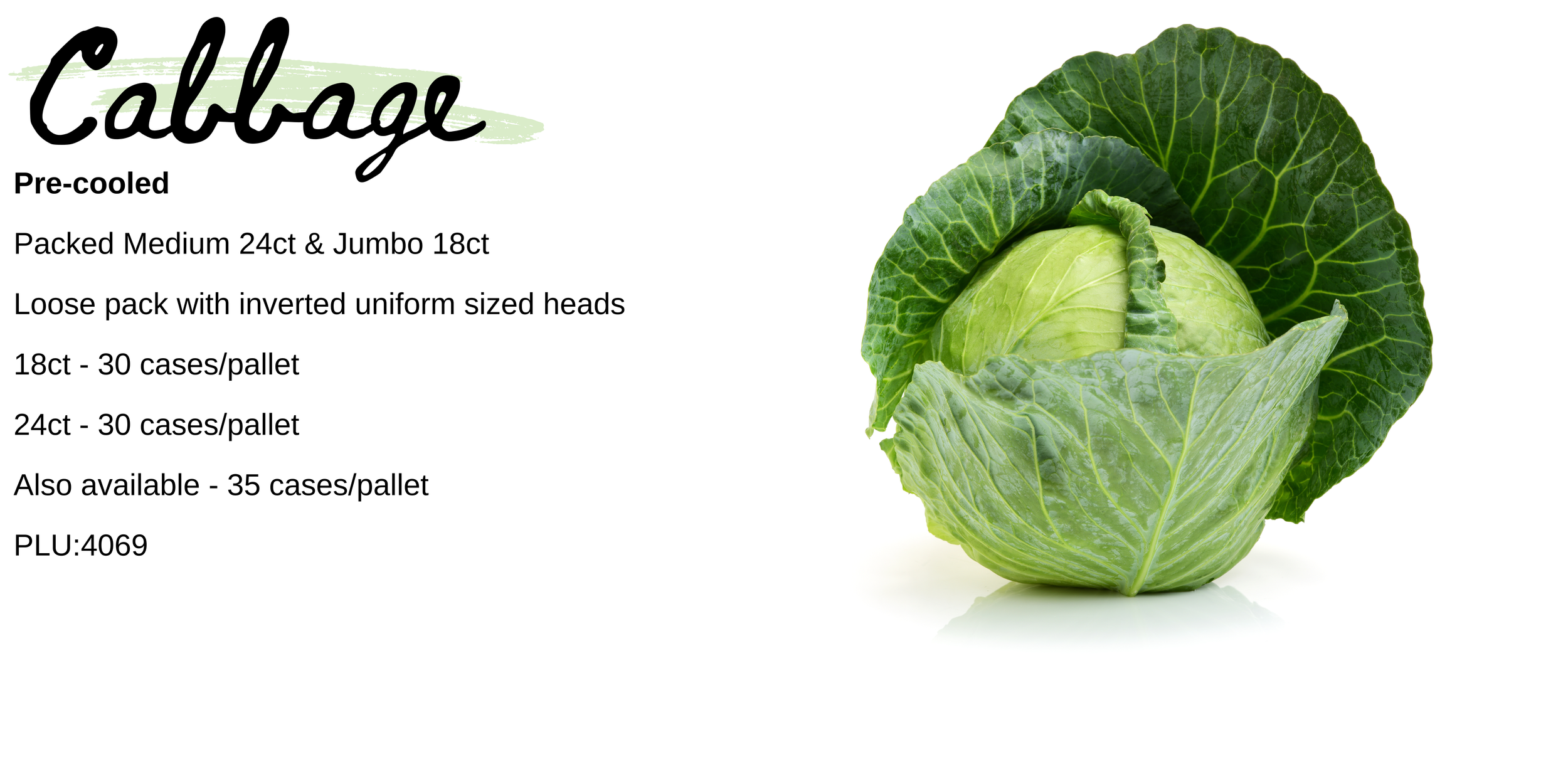 Cabbage — Avina Produce, Inc.