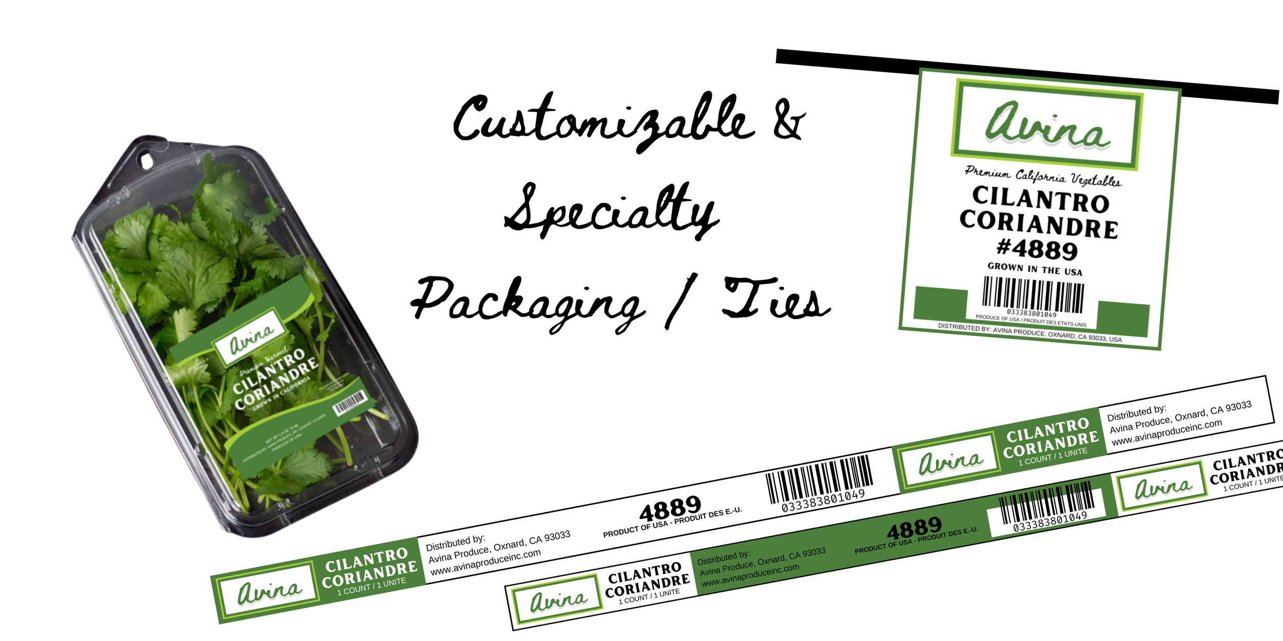 Cilantro — Avina Produce, Inc.