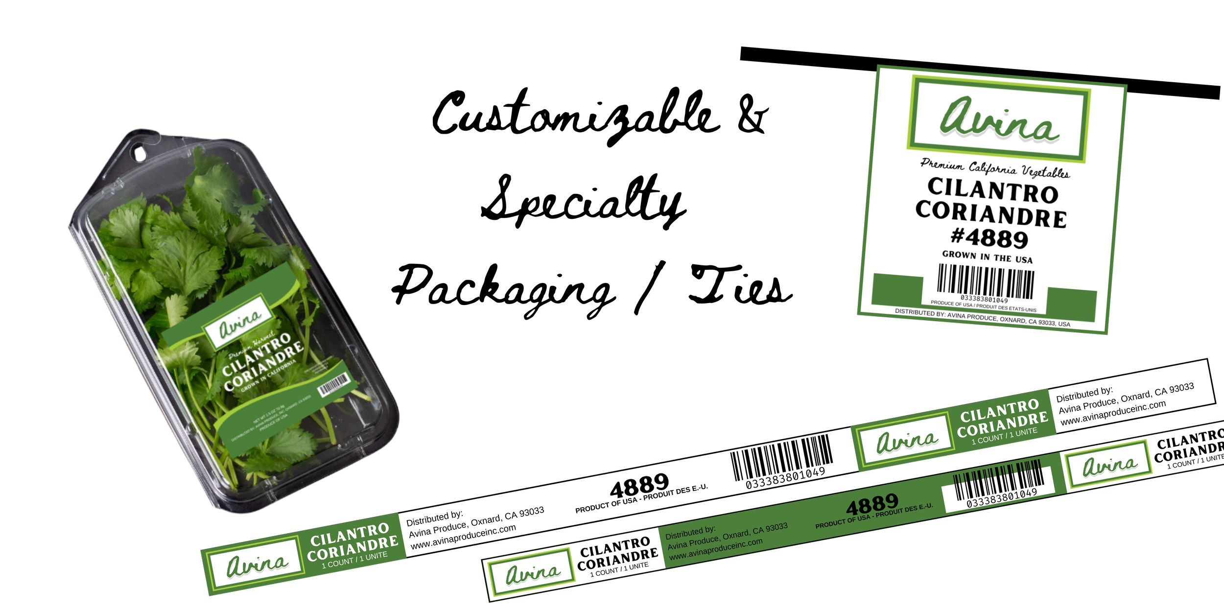 Specs Sheet — Avina Produce, Inc.