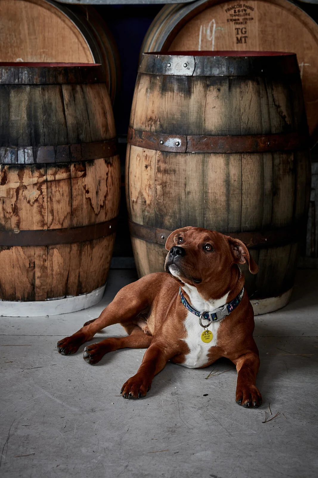 Our Story | Bellarine Distillery | The Whiskery — Bellarine Distillery