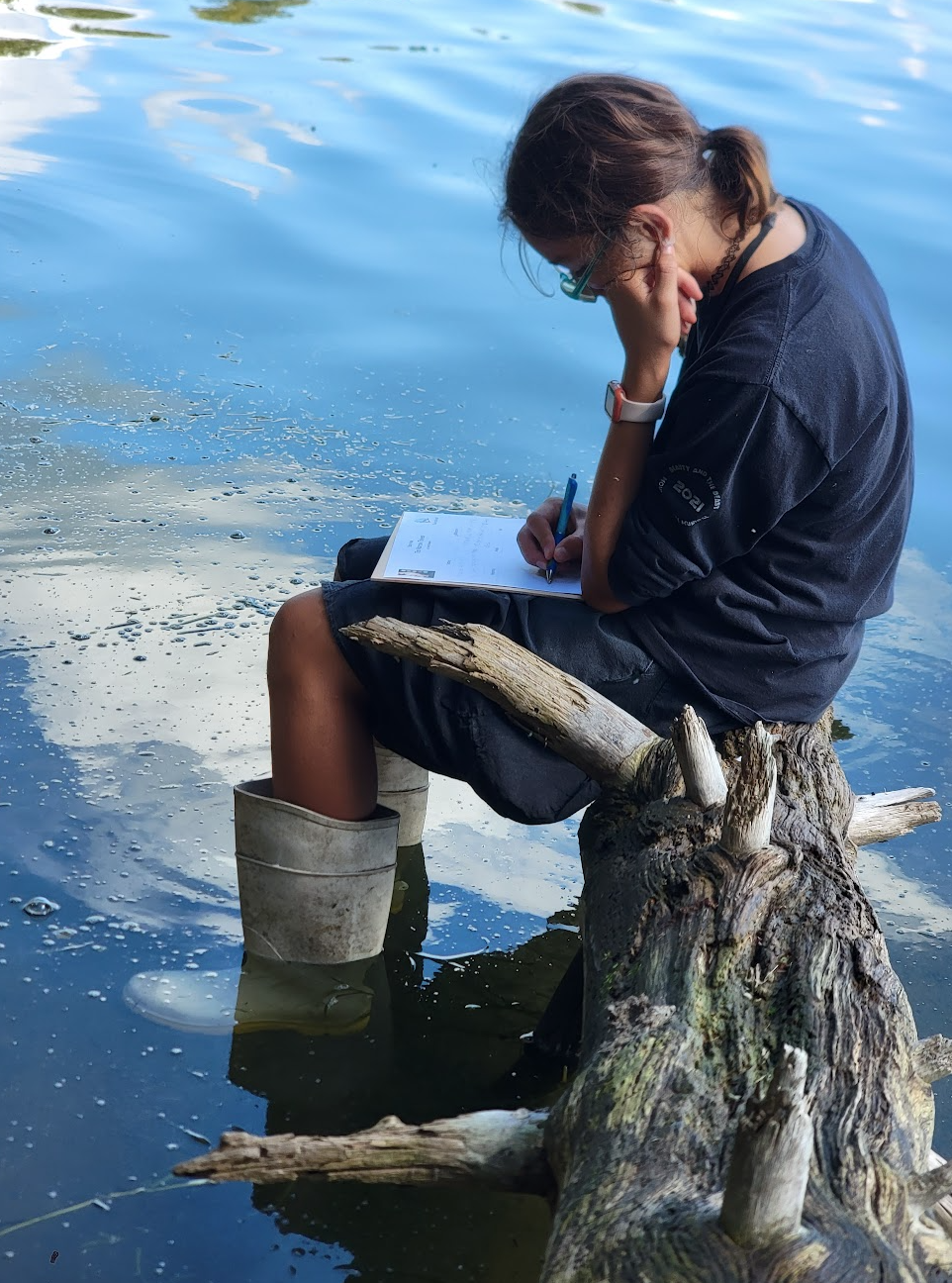 Pond Brook Middle School — willowell foundation