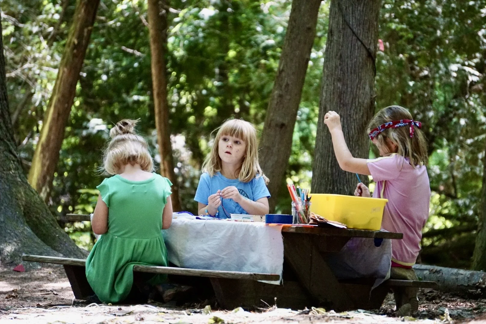 Willowell Summer Camps 2026 — willowell foundation
