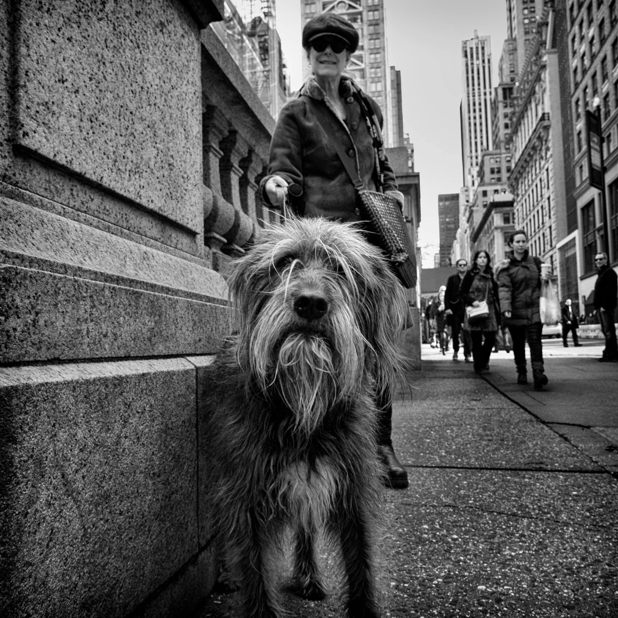 Alan Roseman — Progressive Street