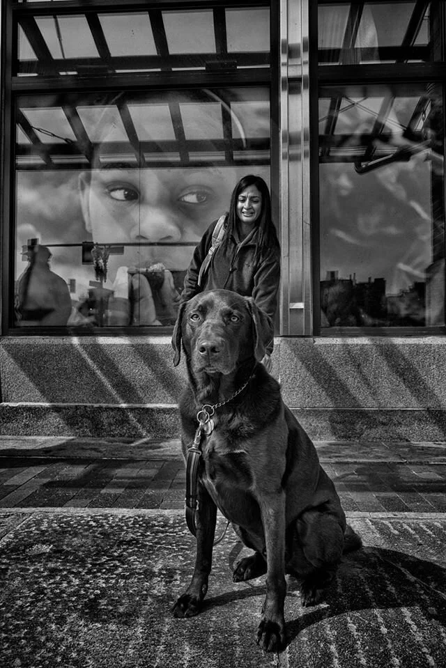 Alan Roseman — Progressive Street