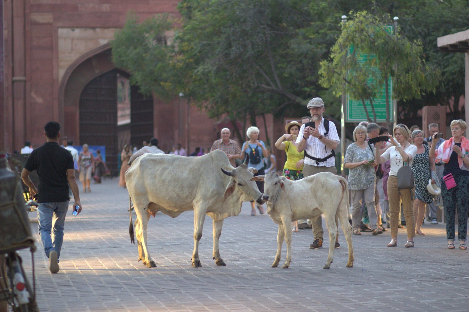 Sagar Dan by Michael Kennedy — Progressive Street