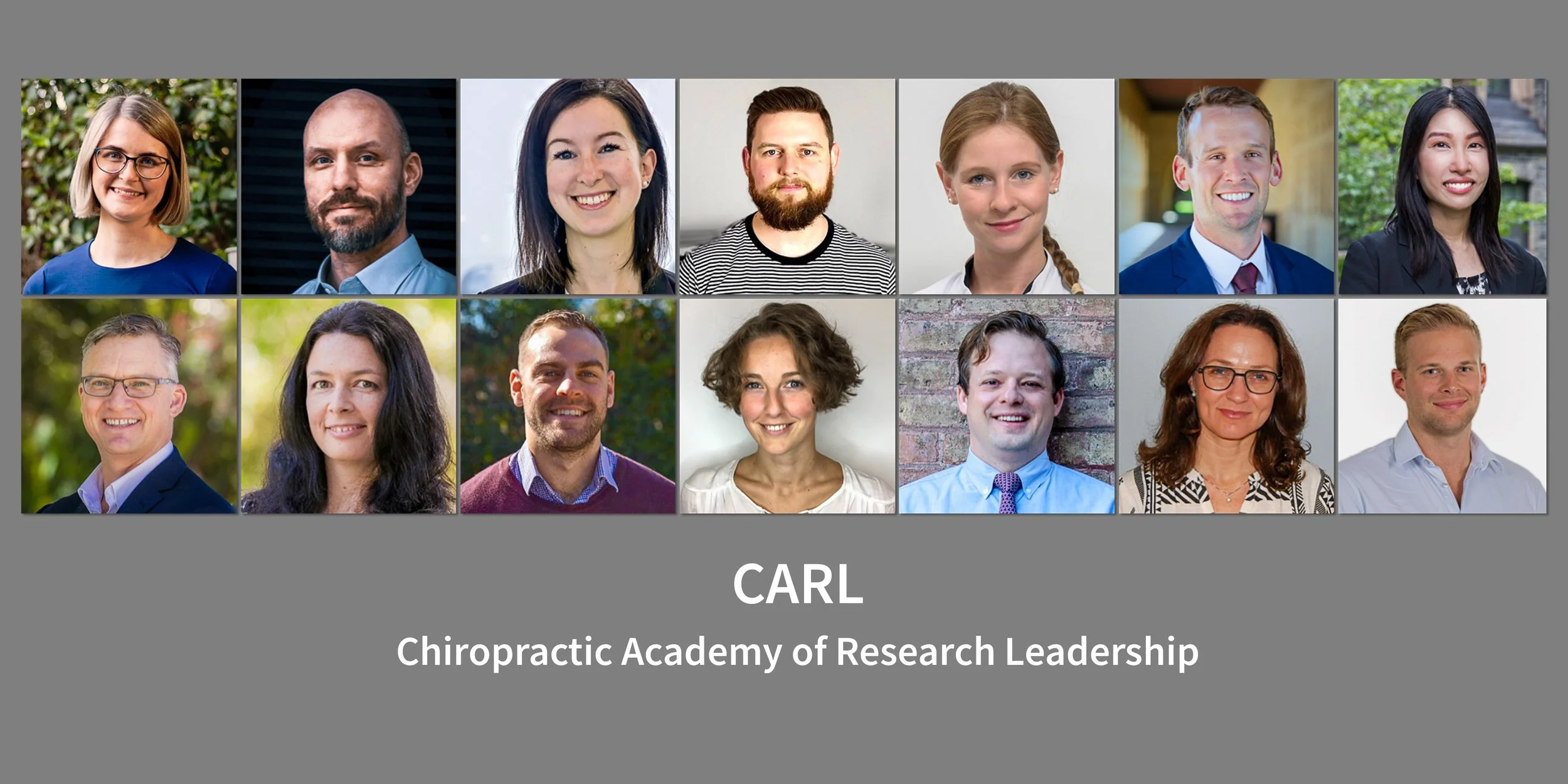 CARL Research Fellows