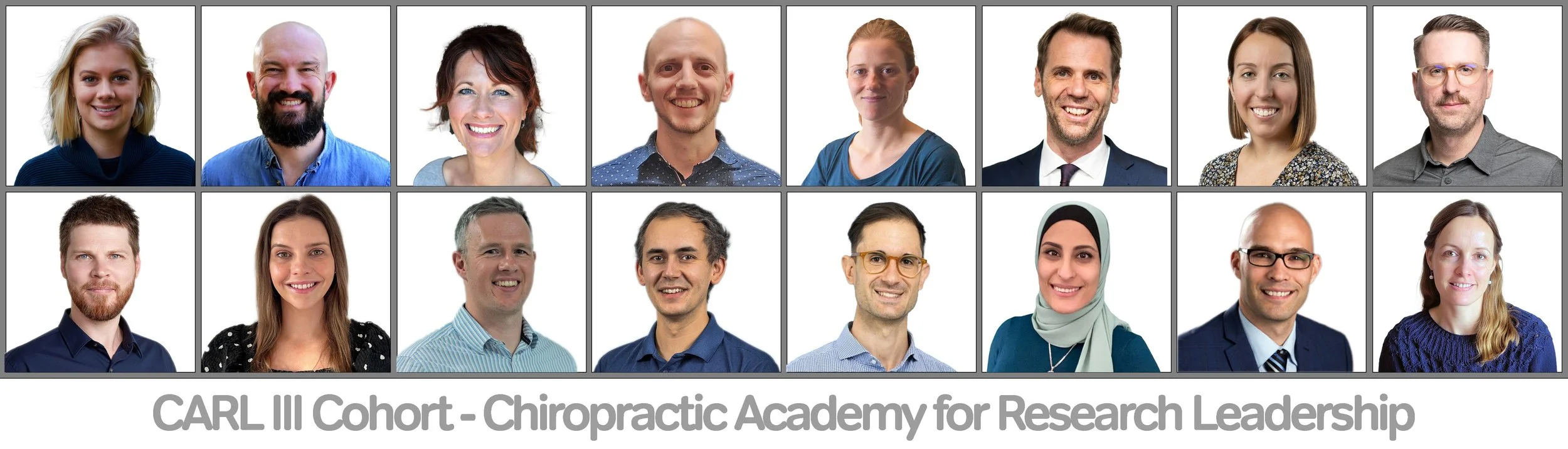 Meet the CARL III Fellows — CARL Research Fellows