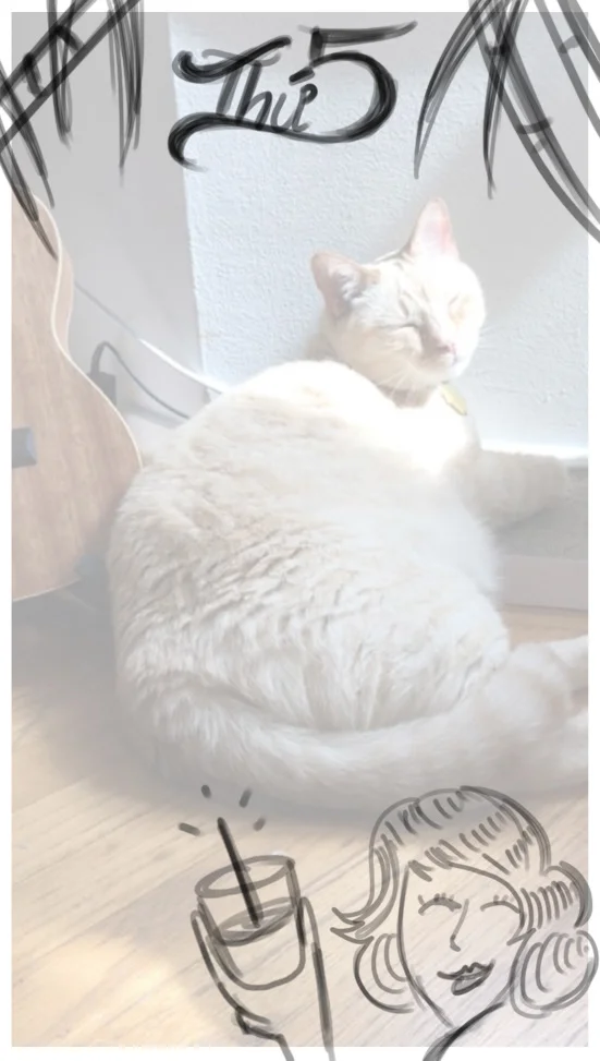 Facebook Stories: Stickers — Red Cat Motion | We Are Good At Crafting ...