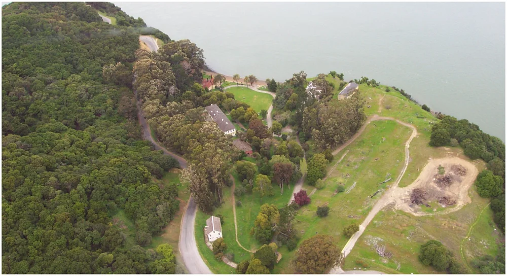 Alien Markings In California