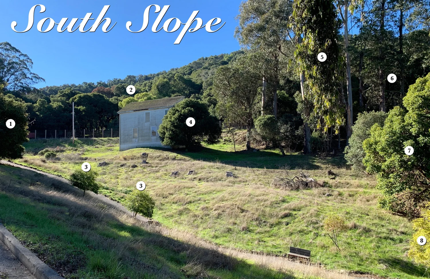 Vault #10: Historic Landscape | Angel Island Immigration Station - San ...