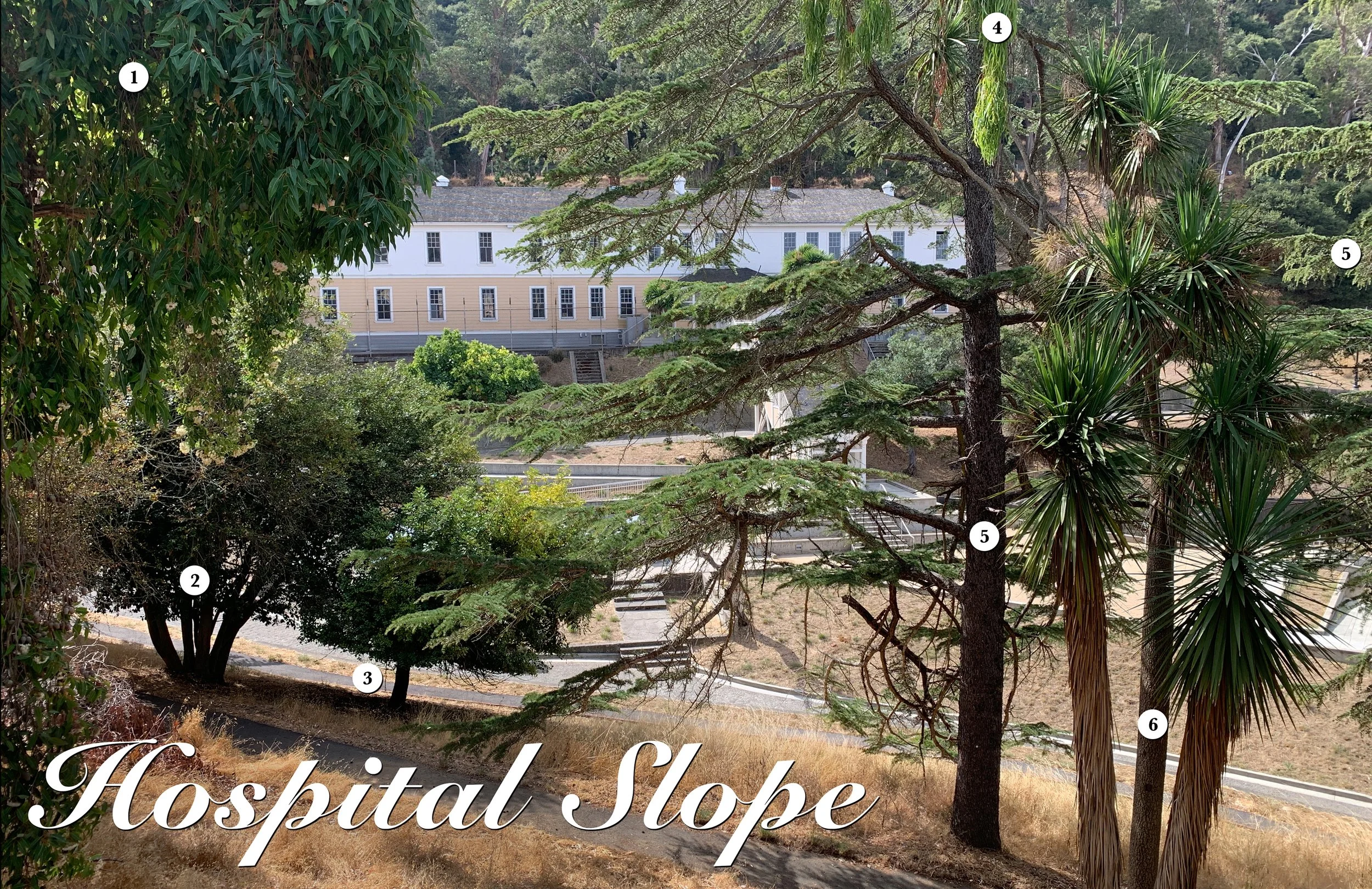 Vault #10: Historic Landscape | Angel Island Immigration Station - San ...