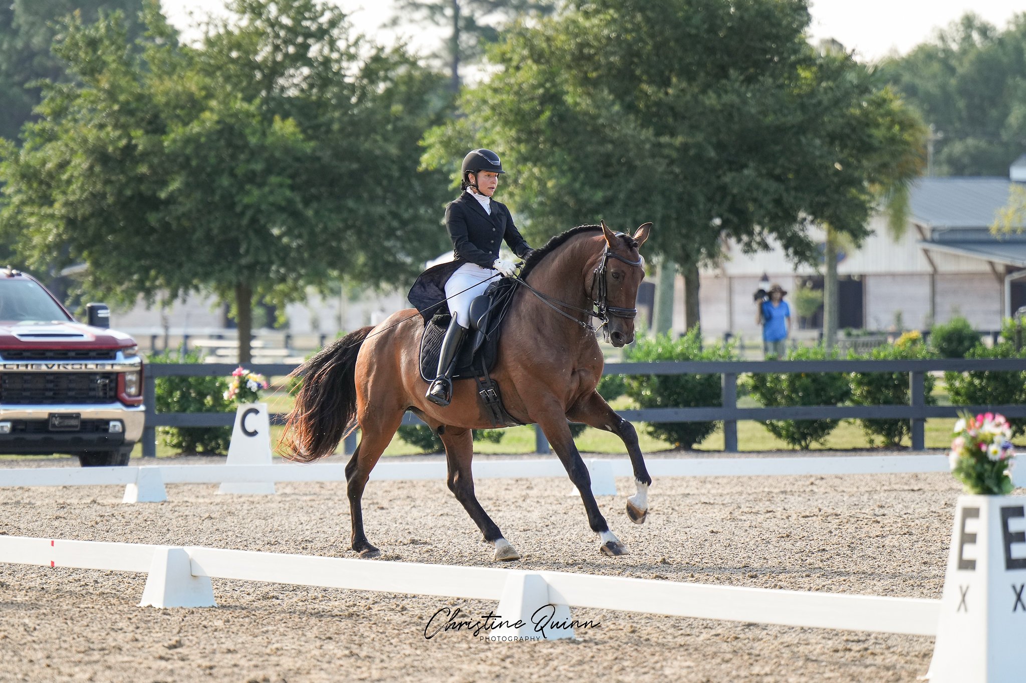 Dressage First Level
