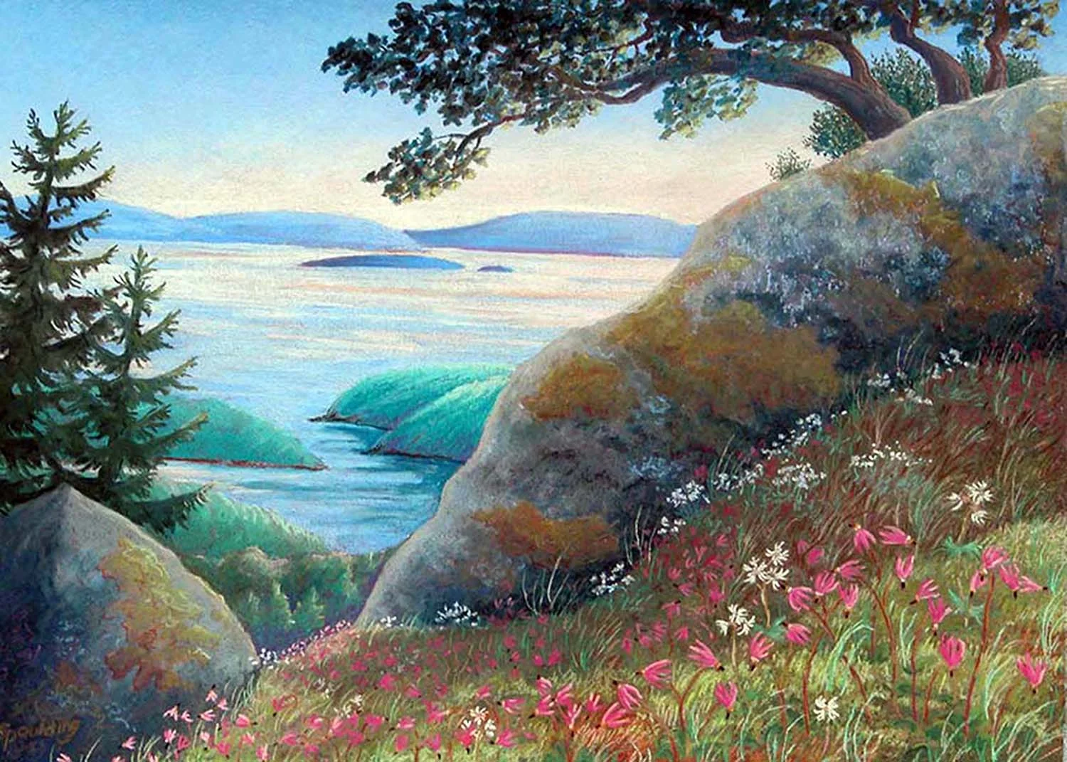 Nancy Spaulding - Portfolio — Spaulding Studio