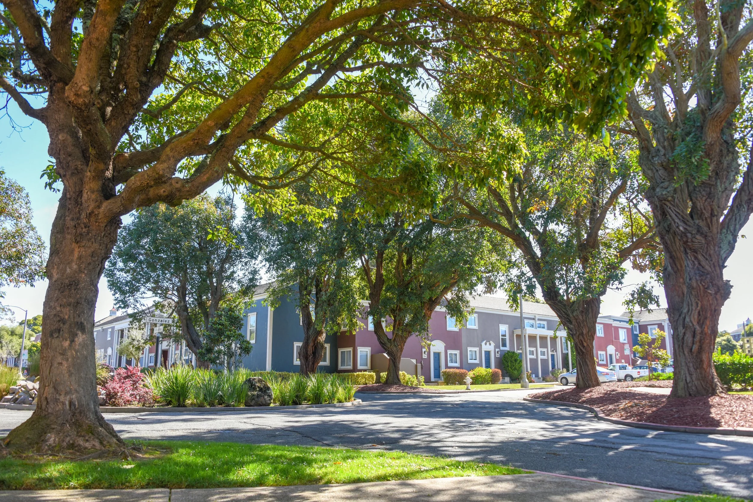 Parkmerced | Large San Francisco Apartments with Ocean Views