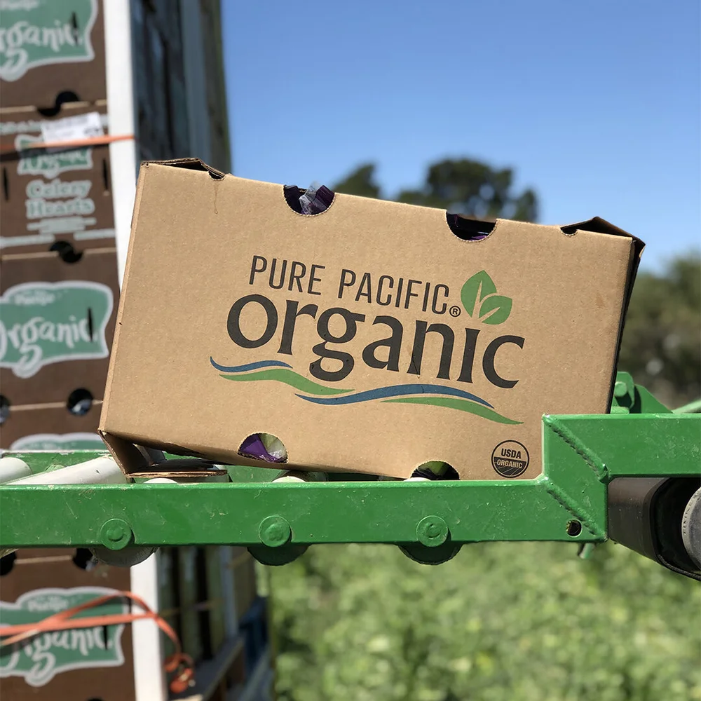 Growing Pure Pacific Organic — Pacific International Marketing
