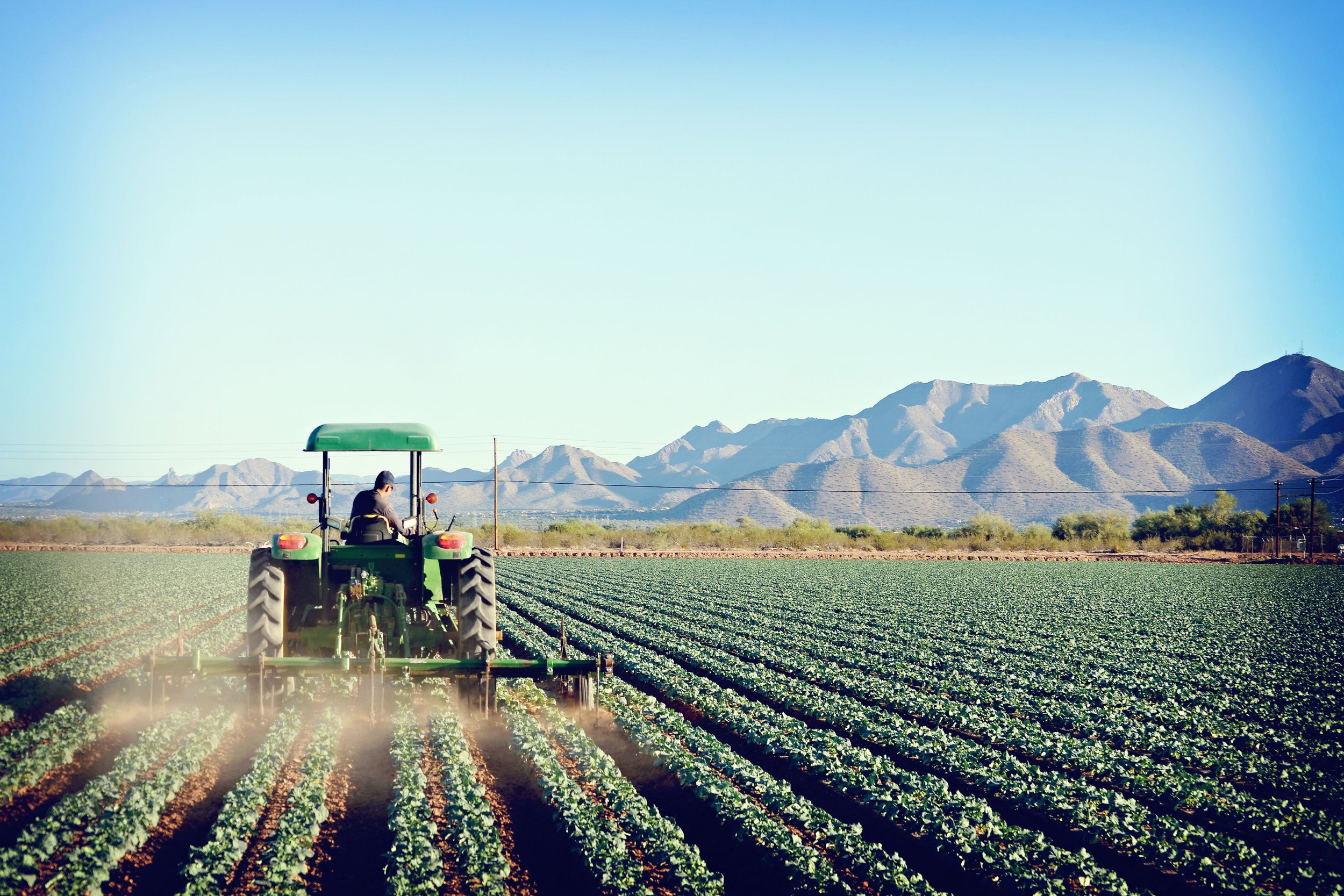 Our Arizona Roots — Pacific International Marketing