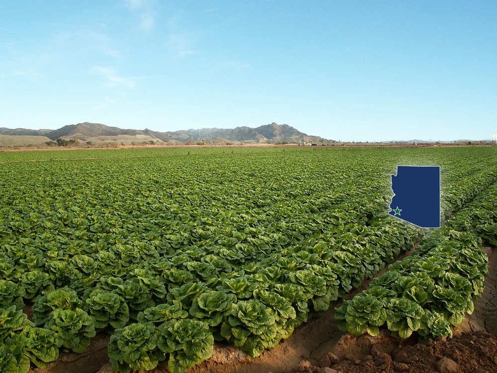 Our Growing Regions — Pacific International Marketing