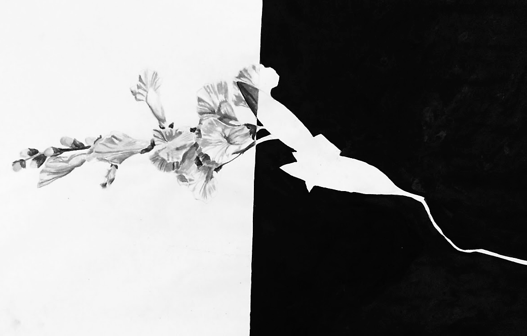 Negative Space Drawing Plants