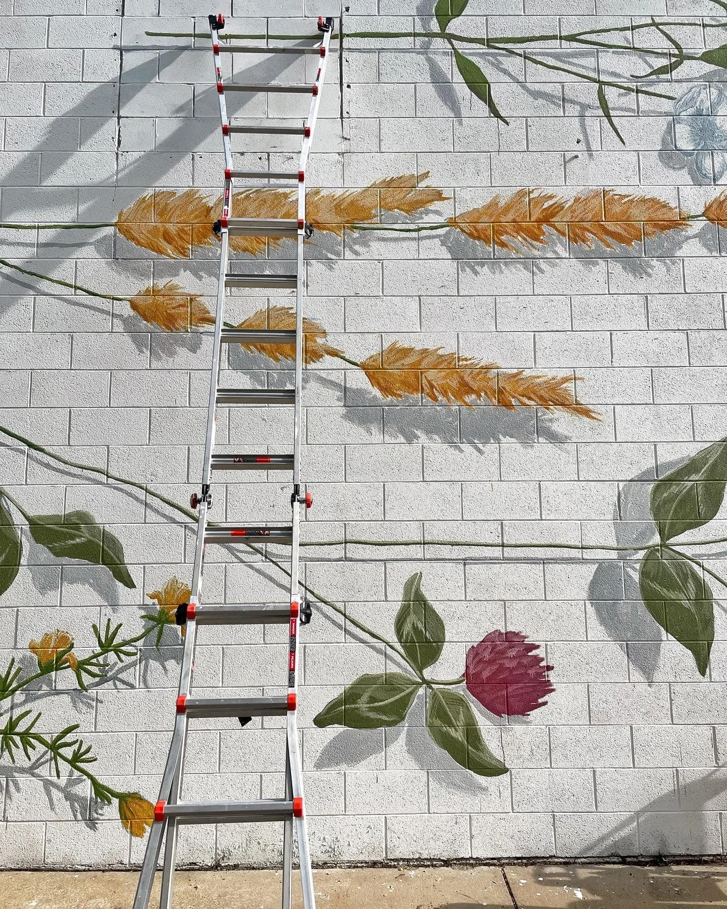 Pharmhouse Wellness Mural — Dania Grevengoed