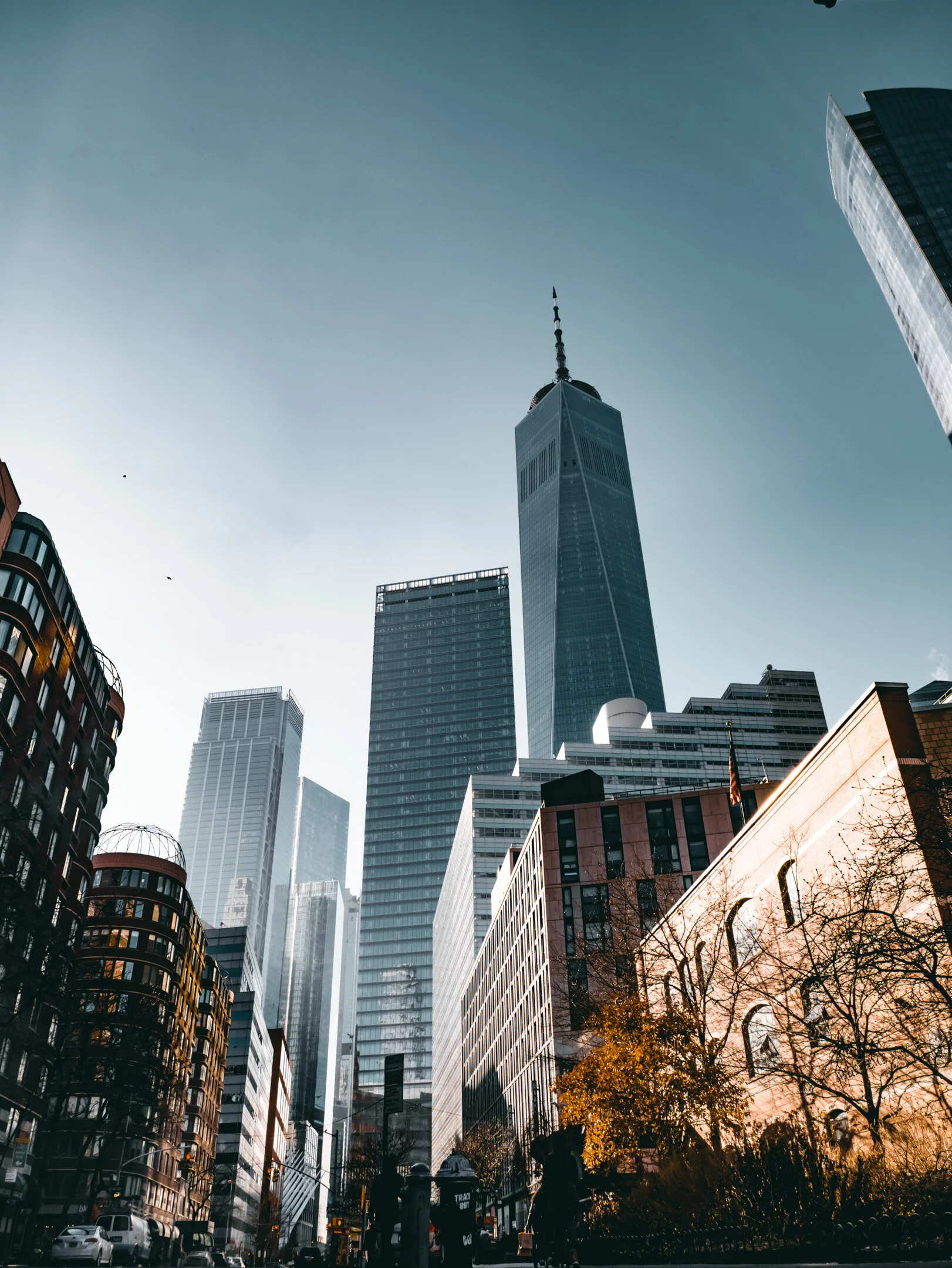 Shashank Dogra | UX UI Designer