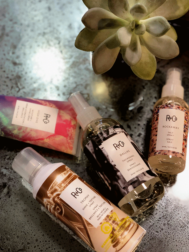 Hair Salon in Halifax, North End Halifax — FRED Salon - Hair and Beauty ...