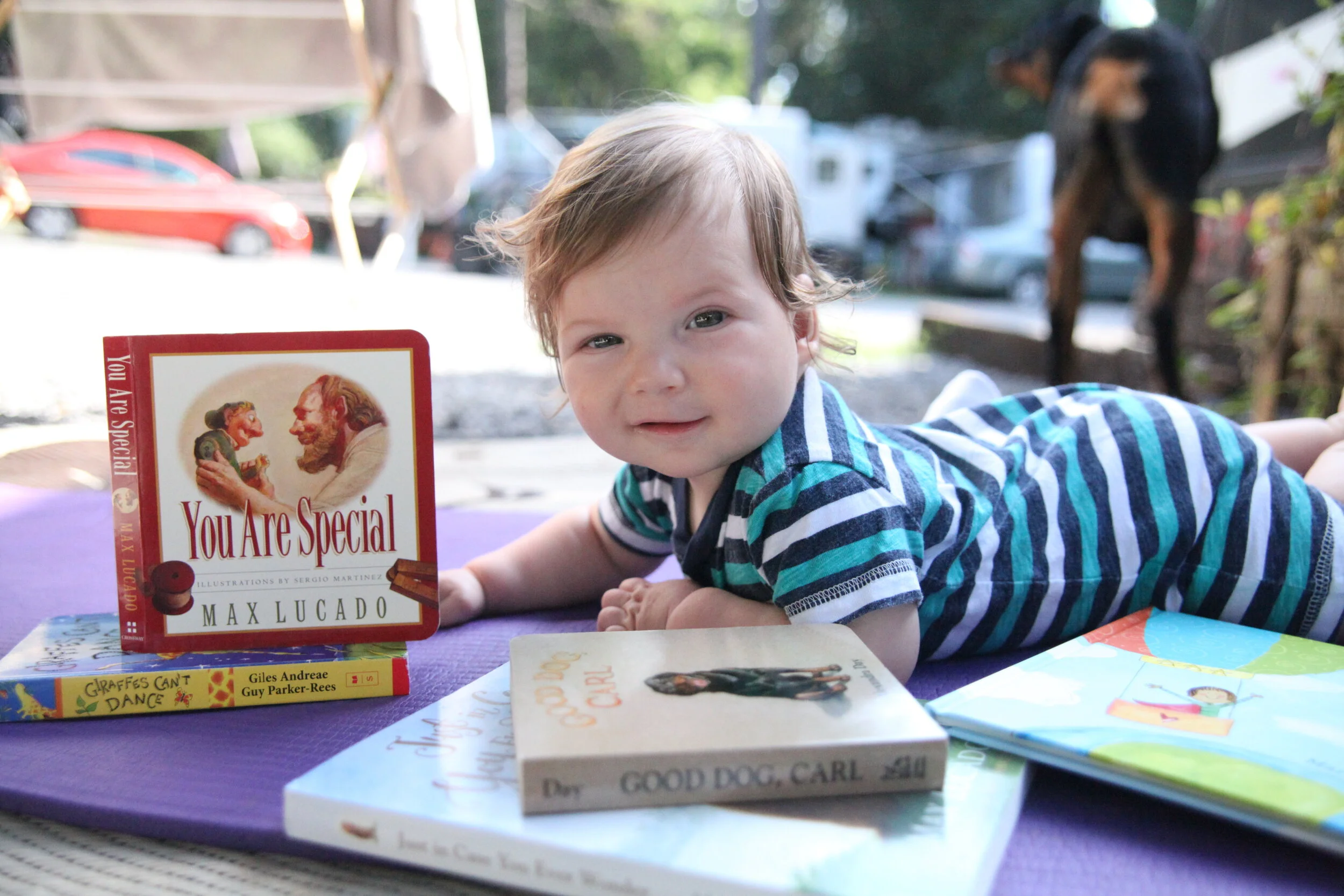 Our Favorite Children's Books — Kara Mickell Designs