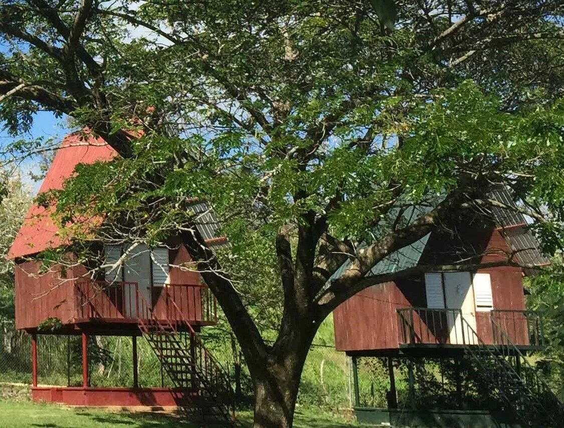 High Schools — Caribbean Social Immersion Program