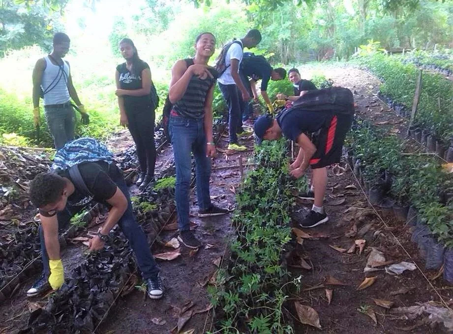 High Schools — Caribbean Social Immersion Program