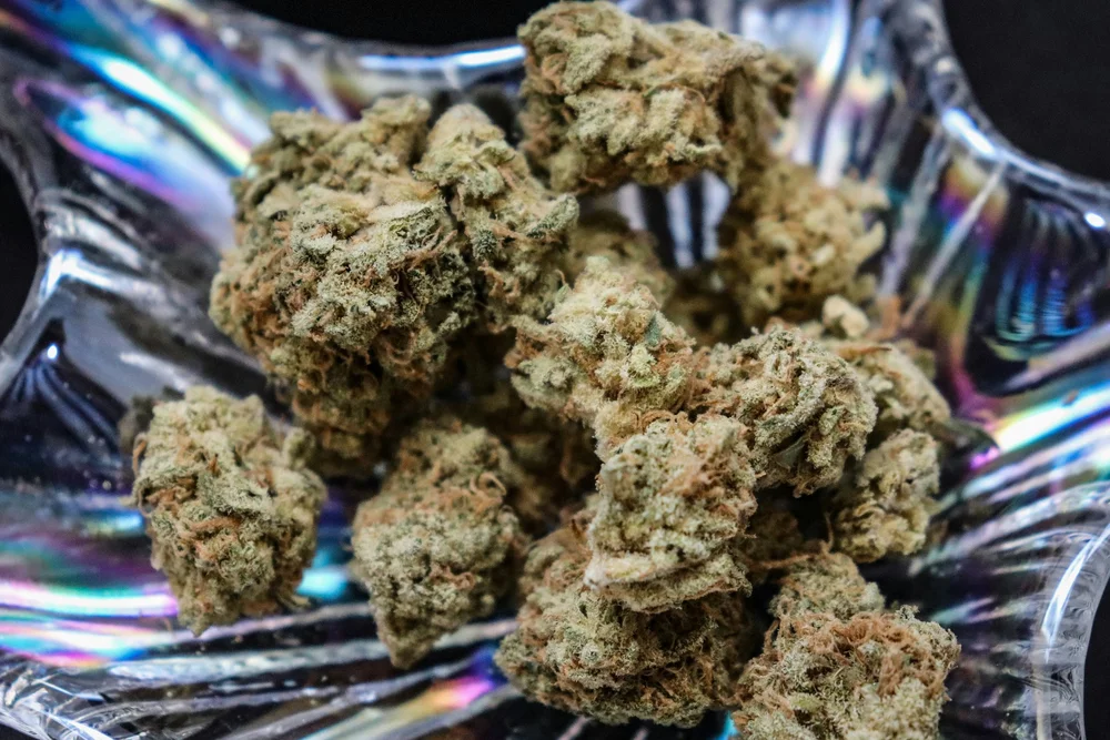 Pros and Cons of Popcorn Weed: Should You Buy It? Learn About Popcorn ...