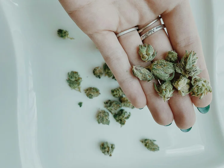 Pros and Cons of Popcorn Weed: Should You Buy It? Learn About Popcorn ...