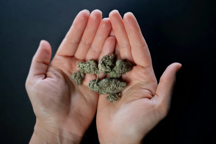How to Rehydrate Old Cannabis: Easy Tips to Revive Dry Bud
