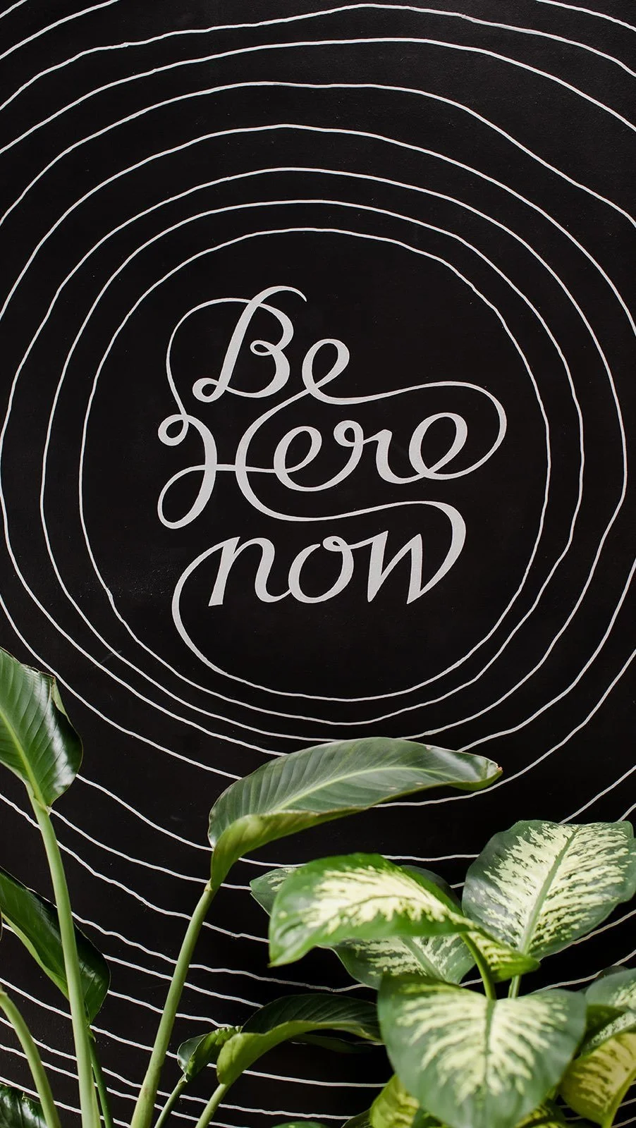 Float Therapy in Columbus | Ebb & Float