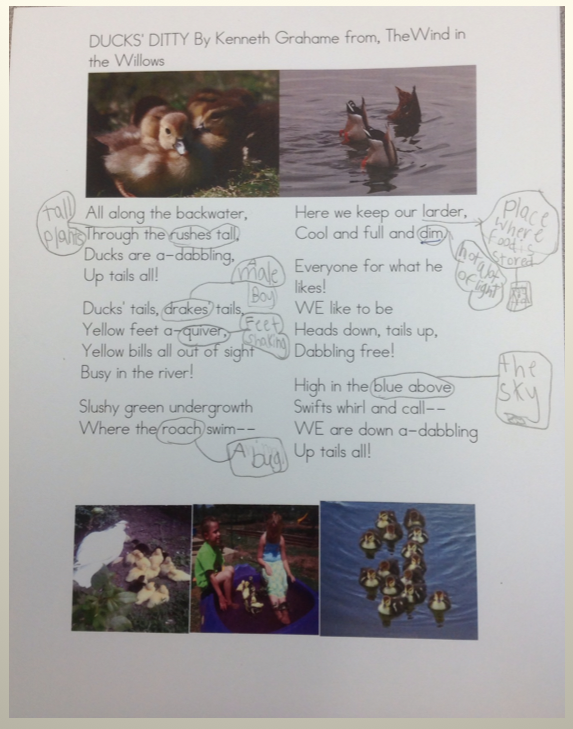 The Dynamic Duo: Poetry and Fluency — Literacy Junkie