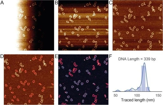 Publications — Single molecule biophysics of DNA