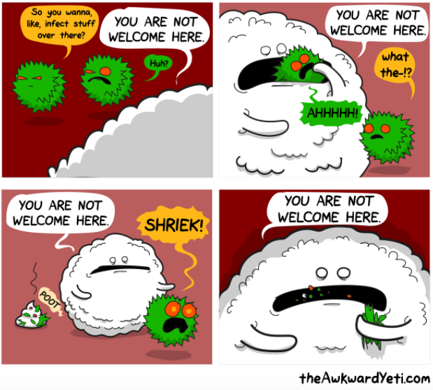 Academic Half Day: Sepsis 2023 — Inside the Silver Fridge