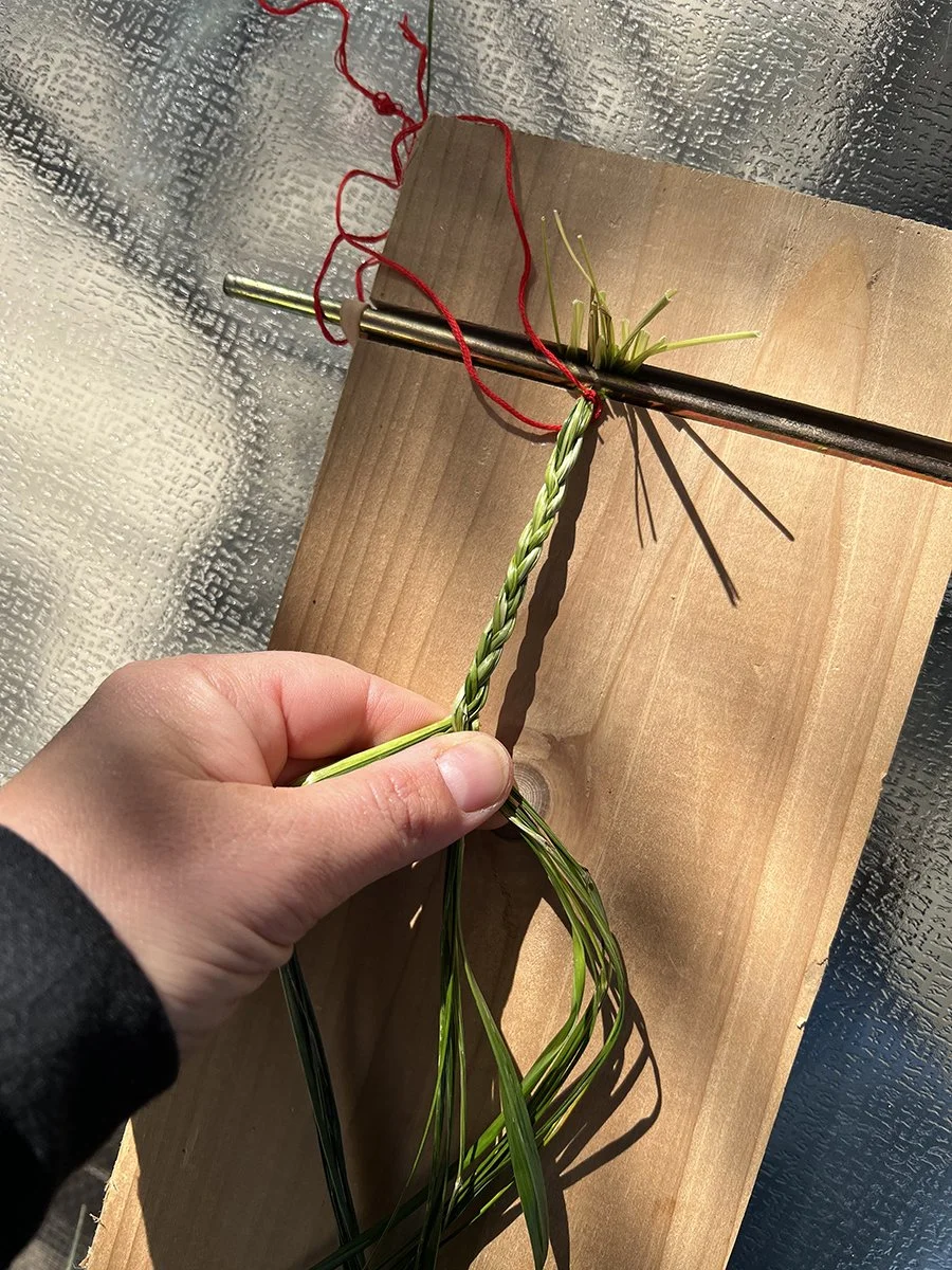 Braiding Our Own Sweetgrass — Into The Natural World