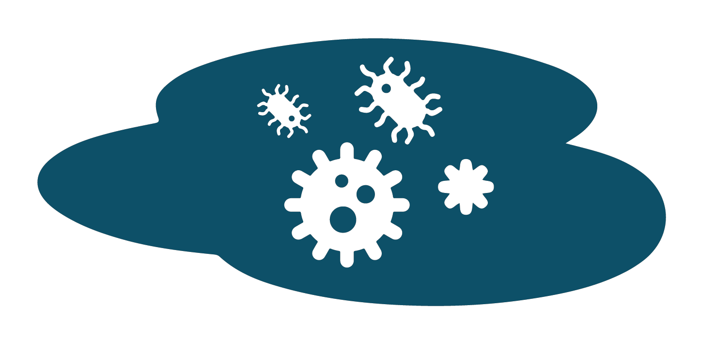 Harmful Algal Blooms — Water Rocks!