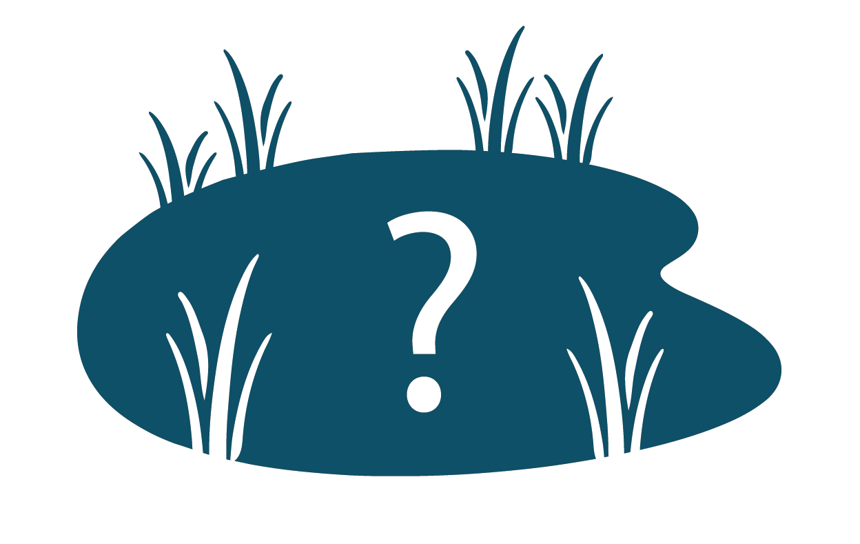 Lakes, Ponds and Wetlands — Water Rocks!