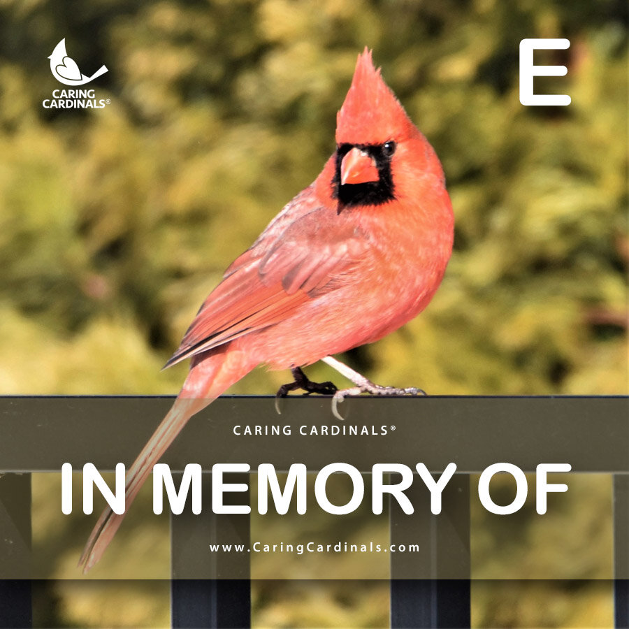 MEMORIALS — CARING CARDINALS