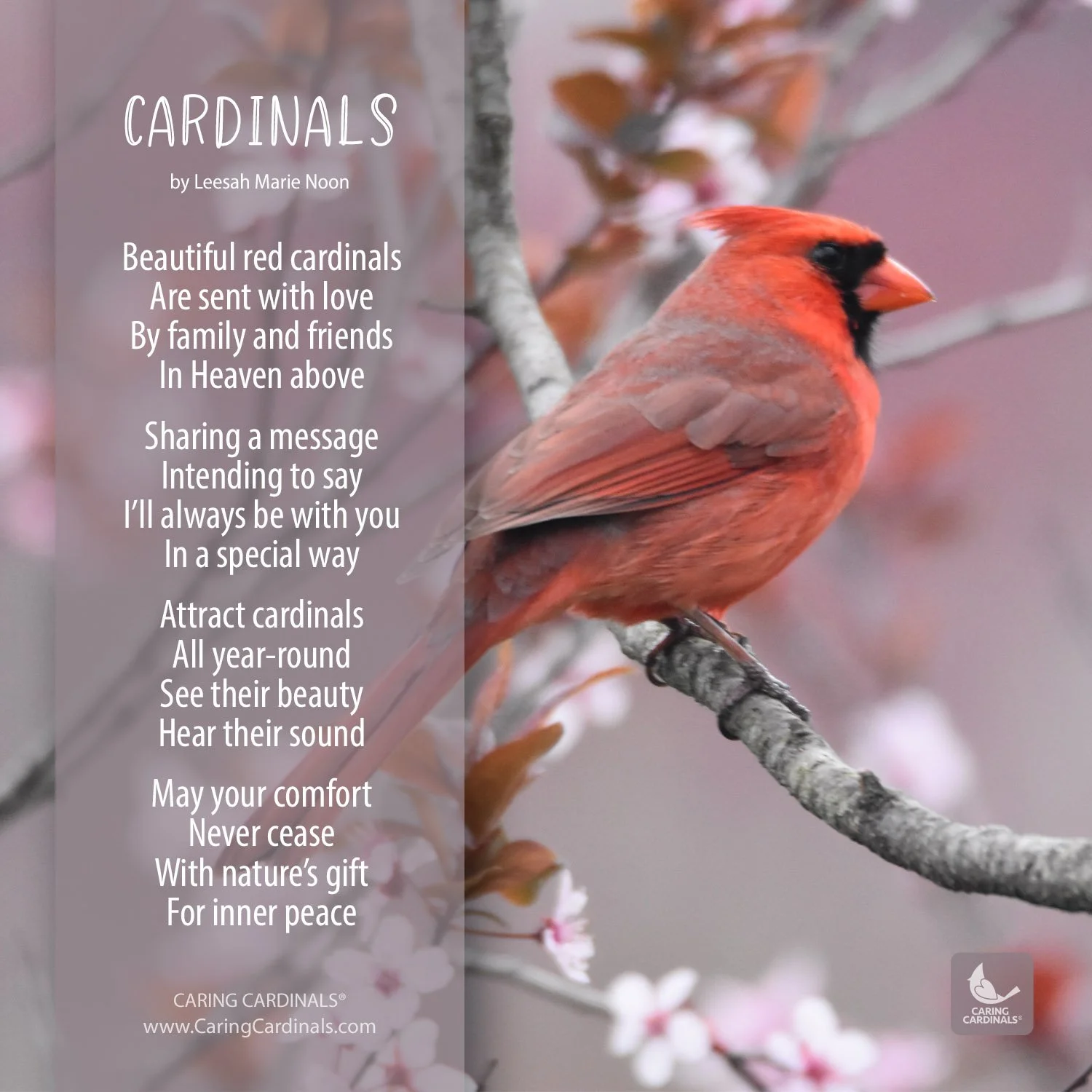 Poetry — CARING CARDINALS