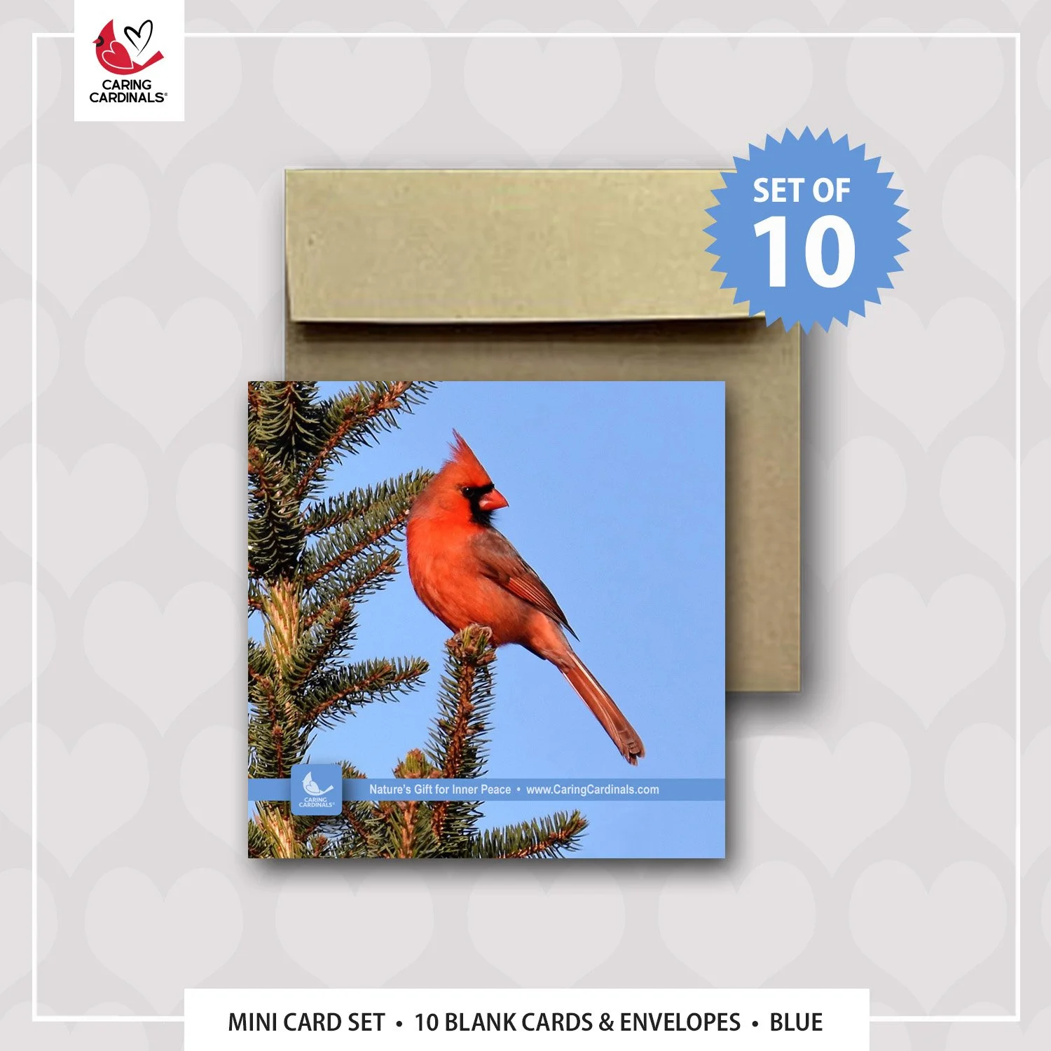 Gift Shop — CARING CARDINALS