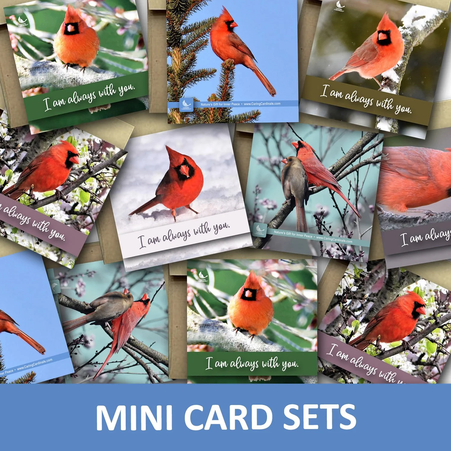 Gift Shop — CARING CARDINALS