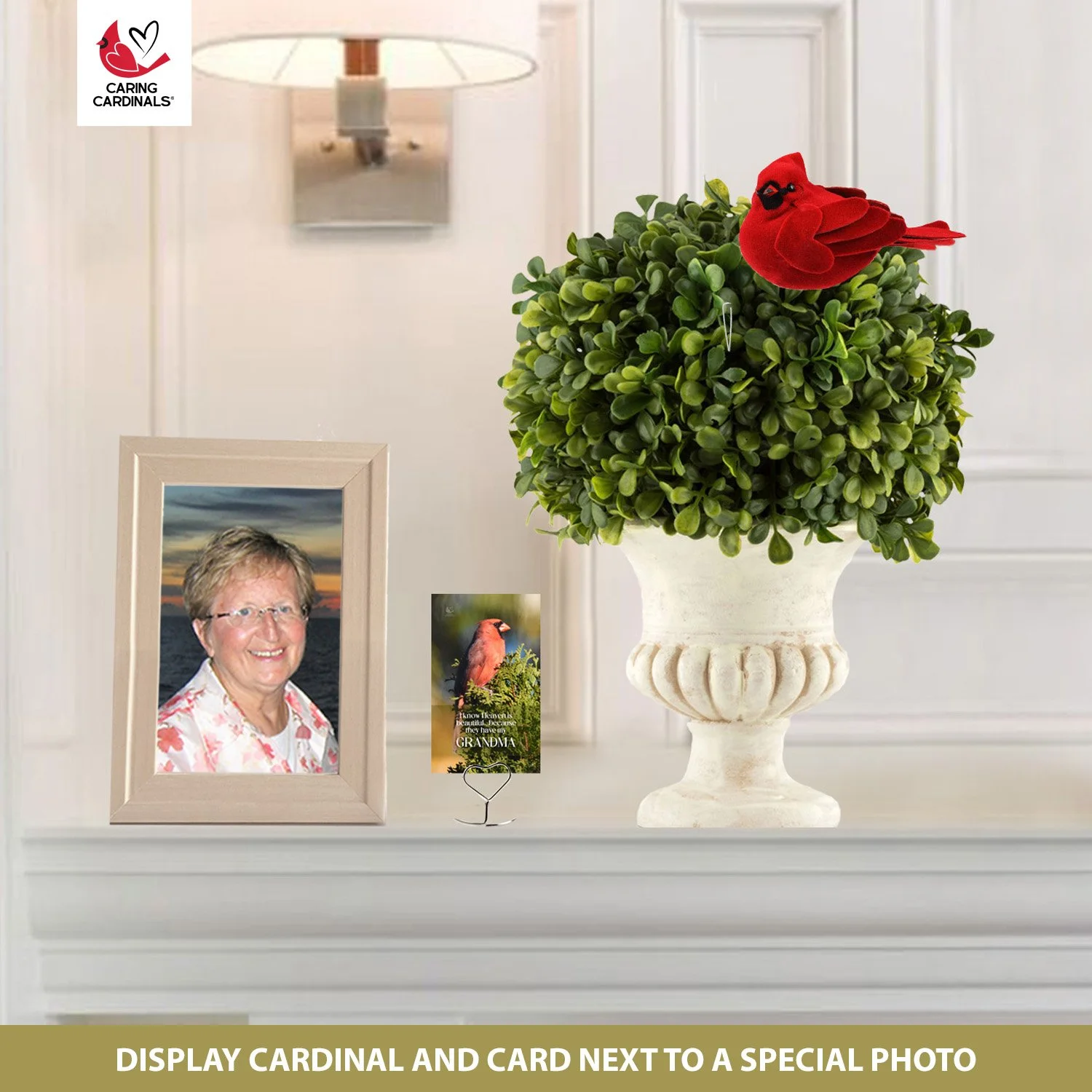 Gift Shop — CARING CARDINALS