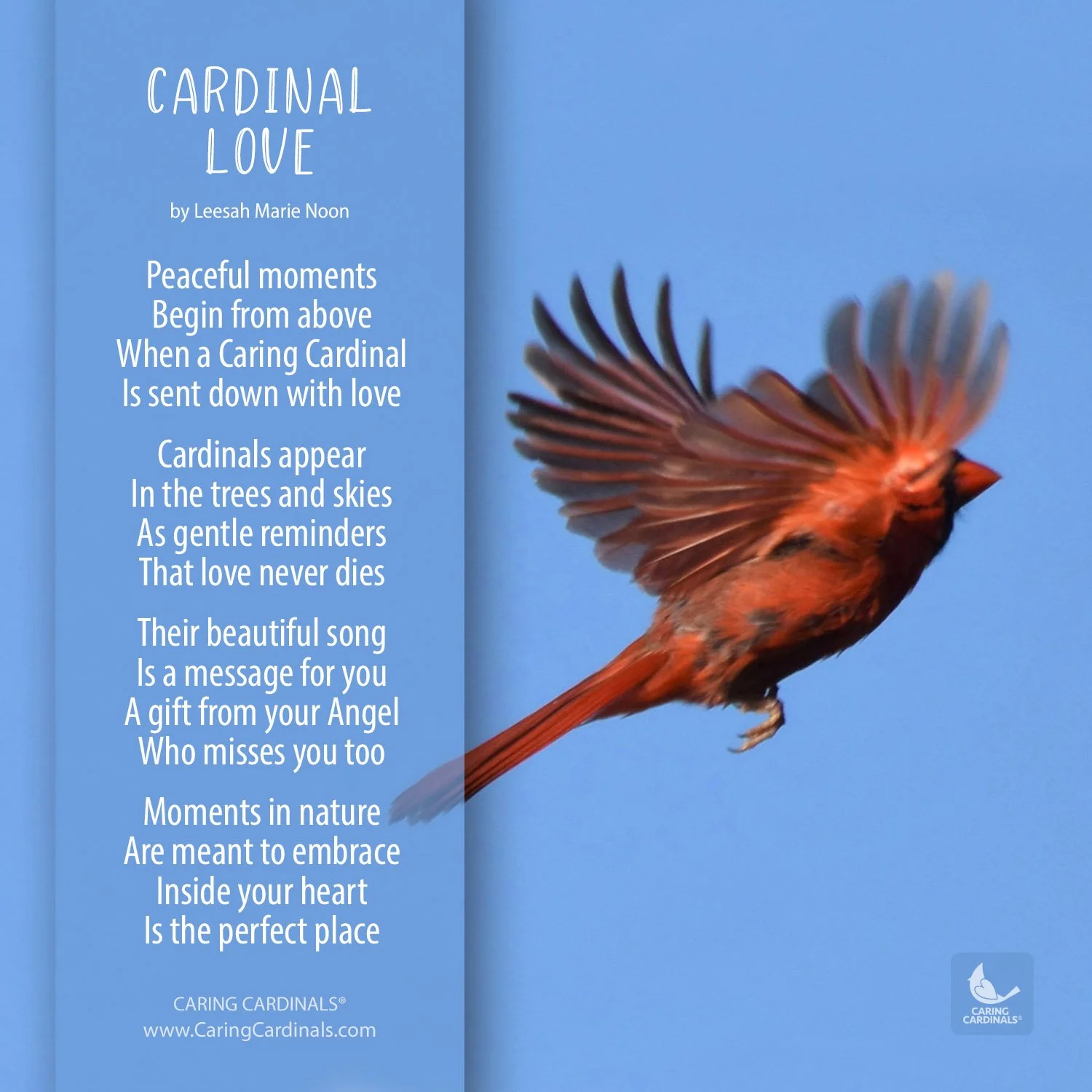 POETRY — CARING CARDINALS