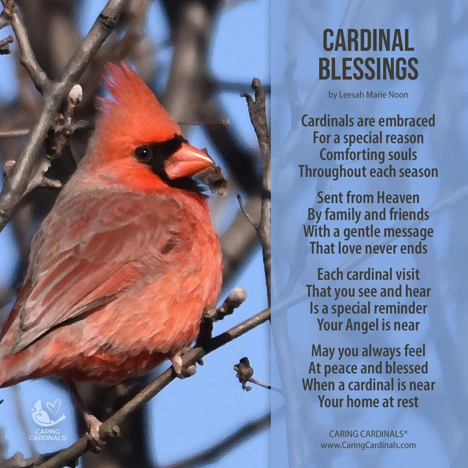 POETRY — CARING CARDINALS
