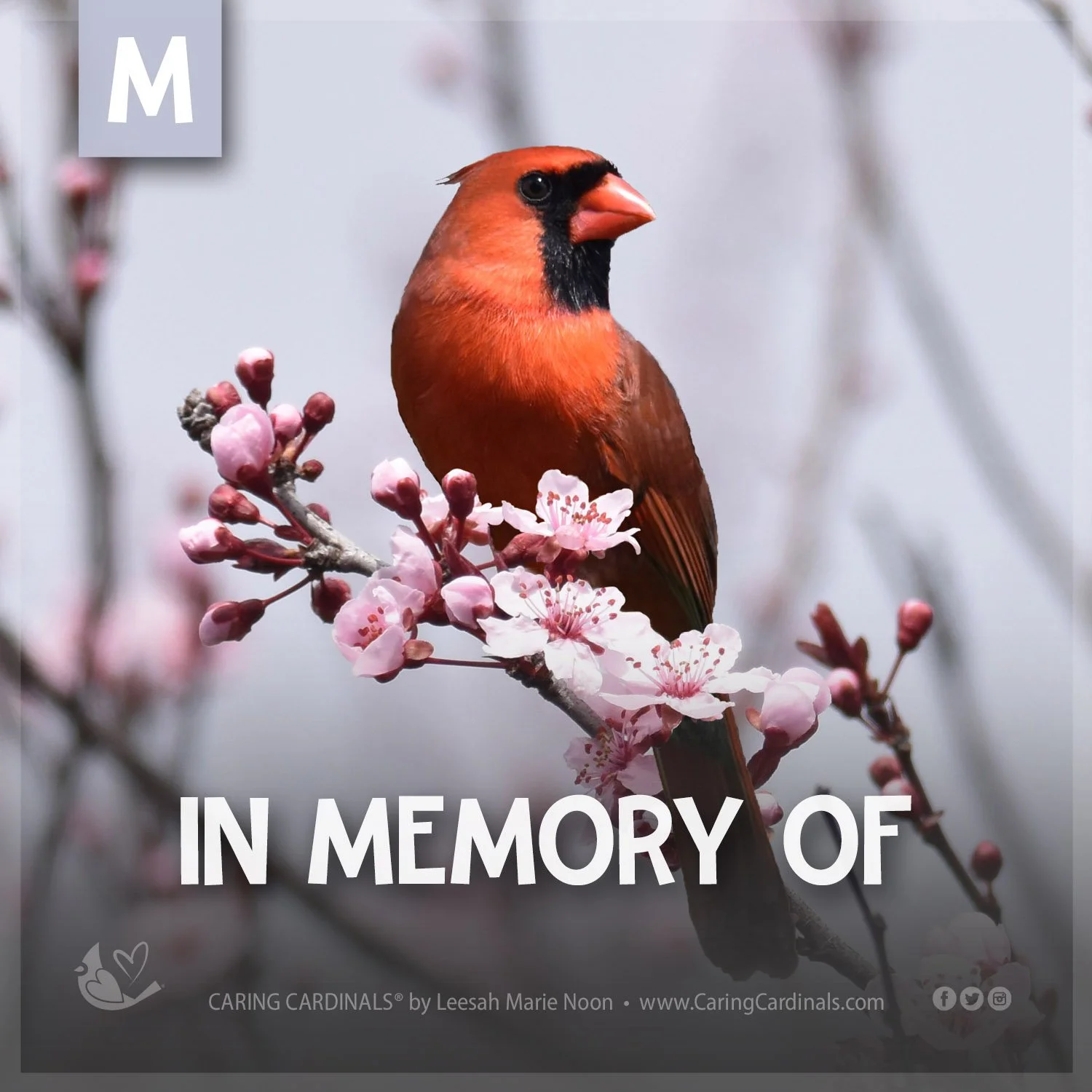 MEMORIALS — CARING CARDINALS